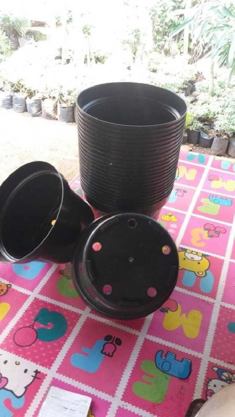 Jual Pot Tanaman Plastik Simba Diameter 30 - Hitam Di Seller Jasa ...