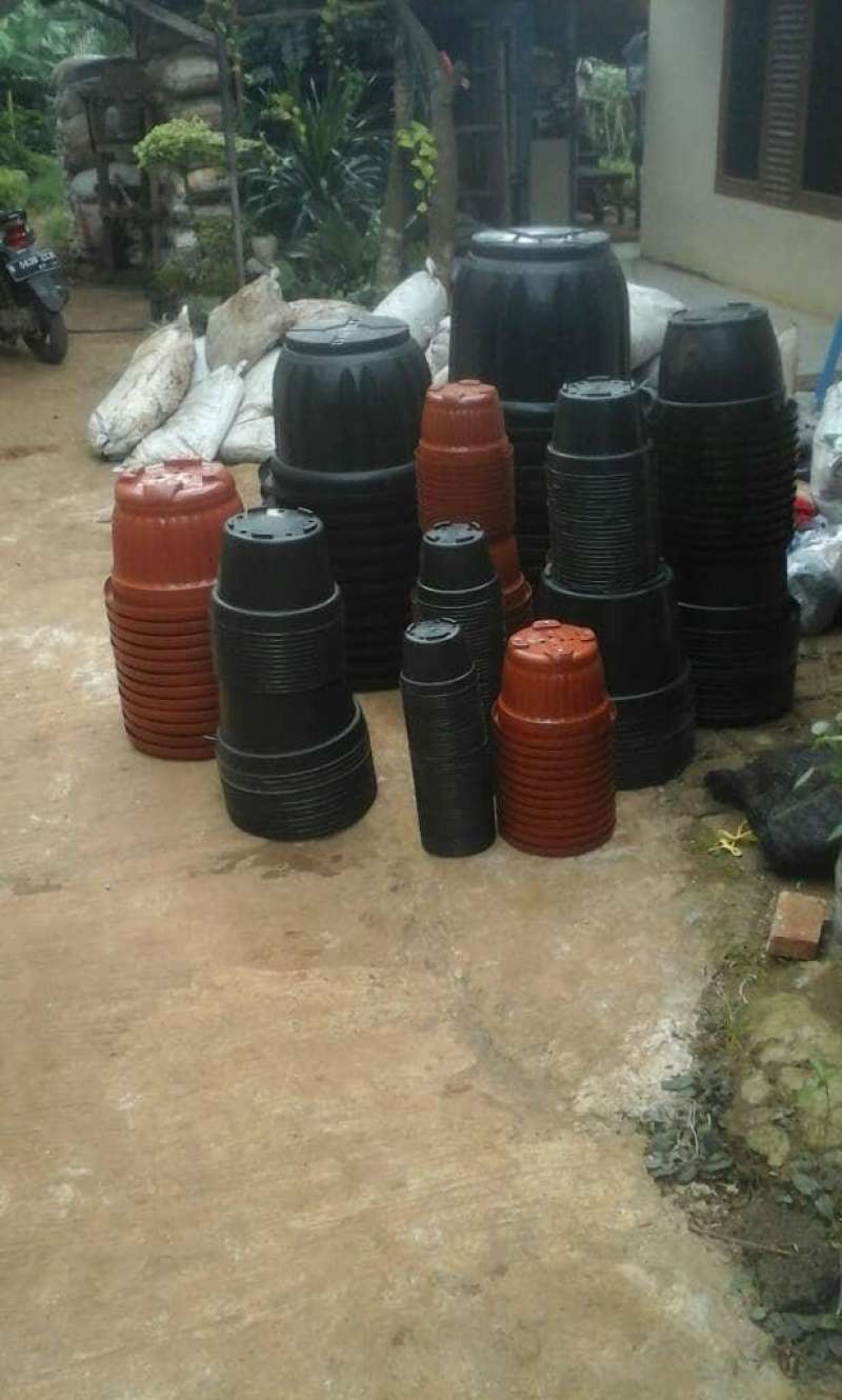 Jual Pot Tanaman Plastik Simba Diameter 30 - Hitam Di Seller Jasa ...