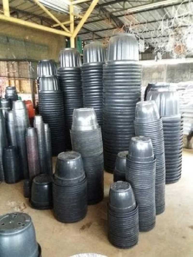 Jual Pot Tanaman Plastik Simba Diameter 30 - Hitam Di Seller Jasa ...