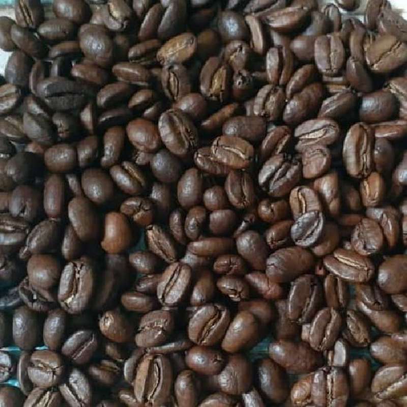 Jual Kopi Toraja Arabika Original 500Gr/ Coffee Bean Arabika Toraja di ...