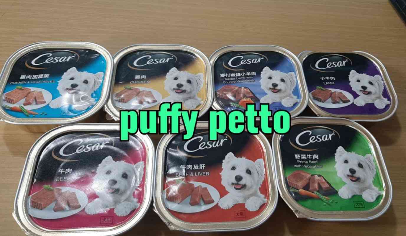 Jual puffy petto Cesar Tray 100gr makanan anjing basah - Beef Vege di ...