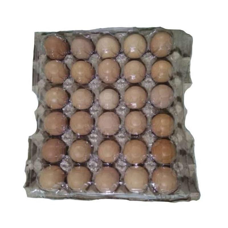 Jual Telur Negeri Curah [30 Butir] Halal di Seller Sajira Farm ...