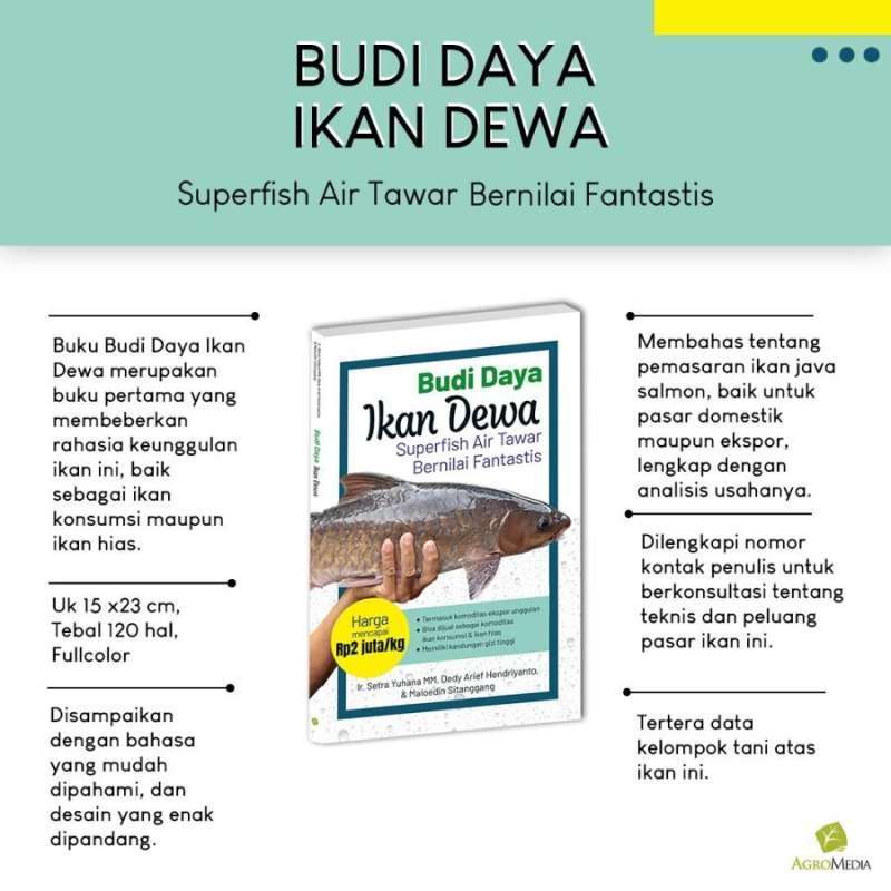 Jual Budi Daya Ikan Dewa; Superfish Air Tawar Bernilai Fantastis di ...