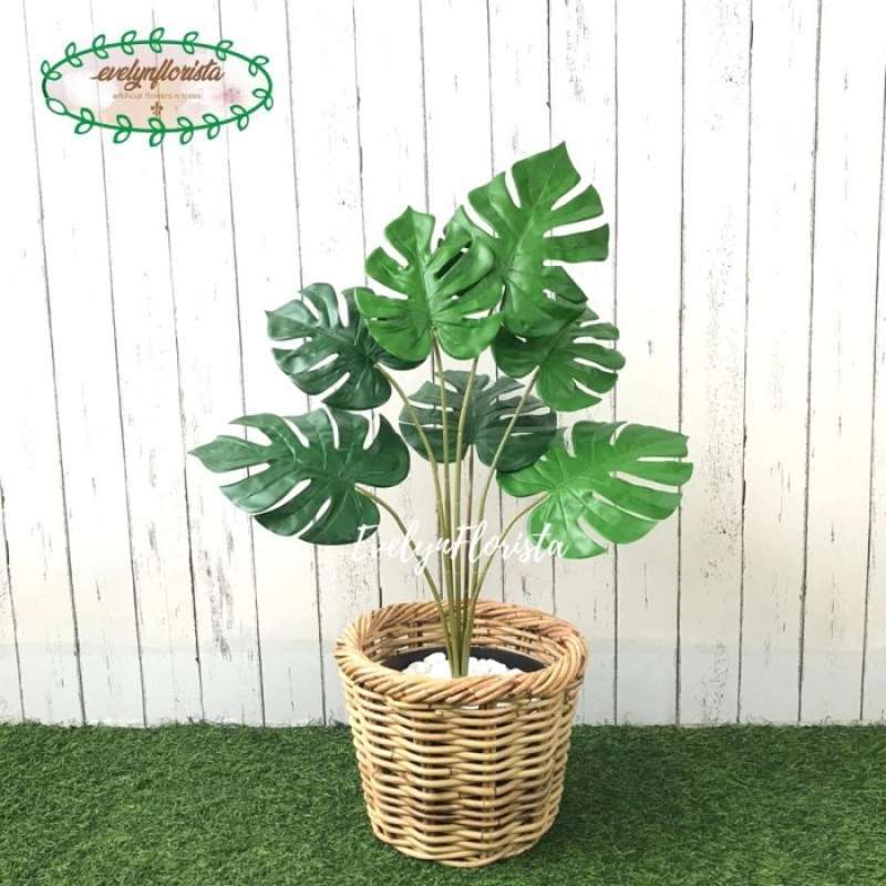 Jual Pohon Hias Daun Monstera Deliciosa X7 Latex Artificial Cover Pot ...