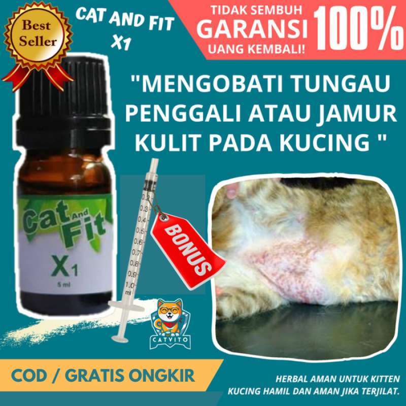 Promo Obat Tungau Penggali Kucing Cat And Fit X1 Ultimate Diskon 33% di ...