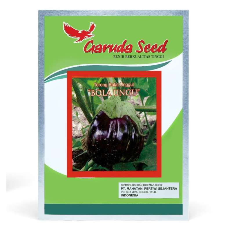 Jual PACK 5 GRAM Benih Bibit Terong Bulat Unggul BOLA UNGU ±1250 biji ...