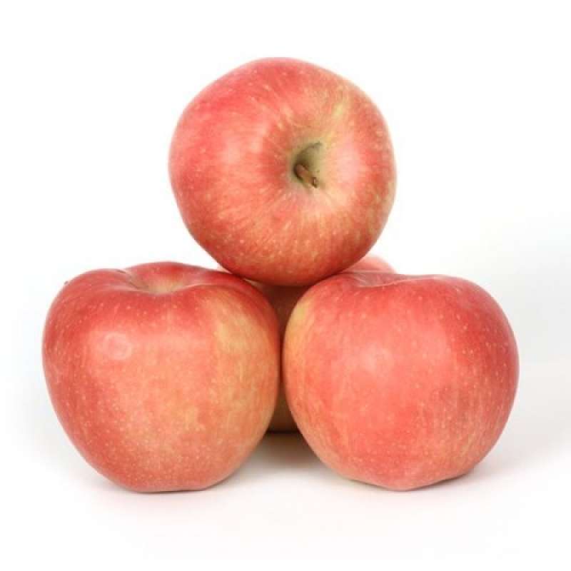 Jual Fuji Buah Apel Fuji di Seller Four Seasons Fresh - Kapasari, Kota ...
