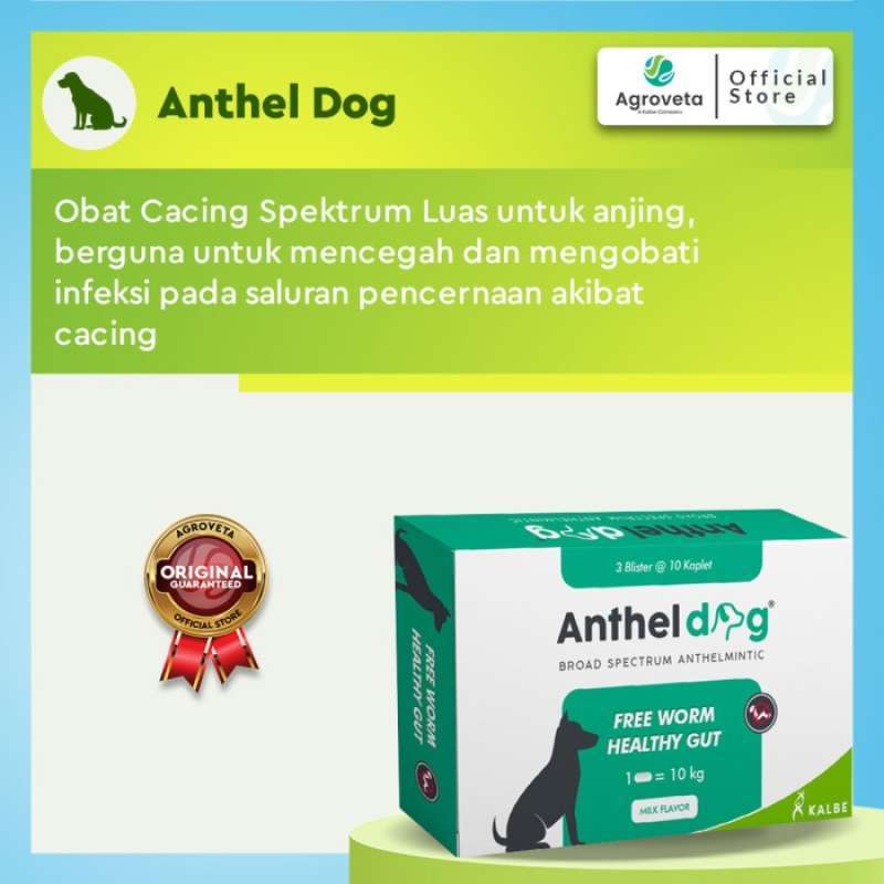 Jual Anthel Dog 1 Box @30 Tablet - Obat Cacing Anjing By Kalbe ...