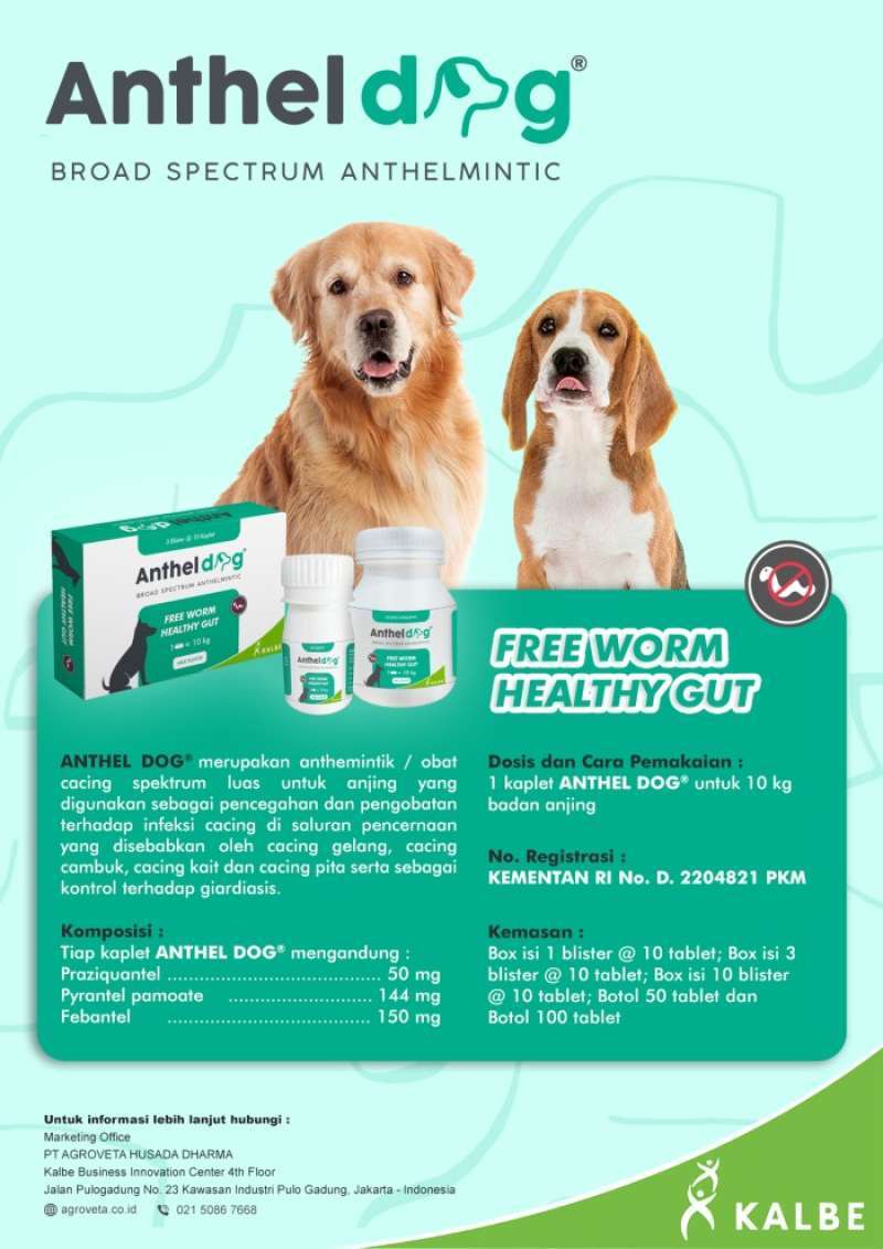 Jual Anthel Dog 1 Box @30 Tablet - Obat Cacing Anjing By Kalbe ...