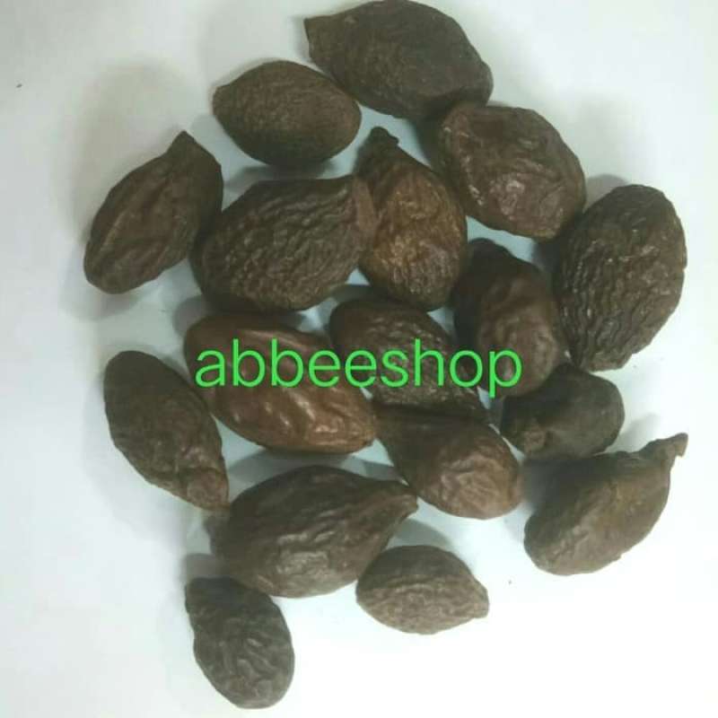 Jual Buah Tempayang 100 gram di Seller Humaira Healthy Care - Duri Kepa ...