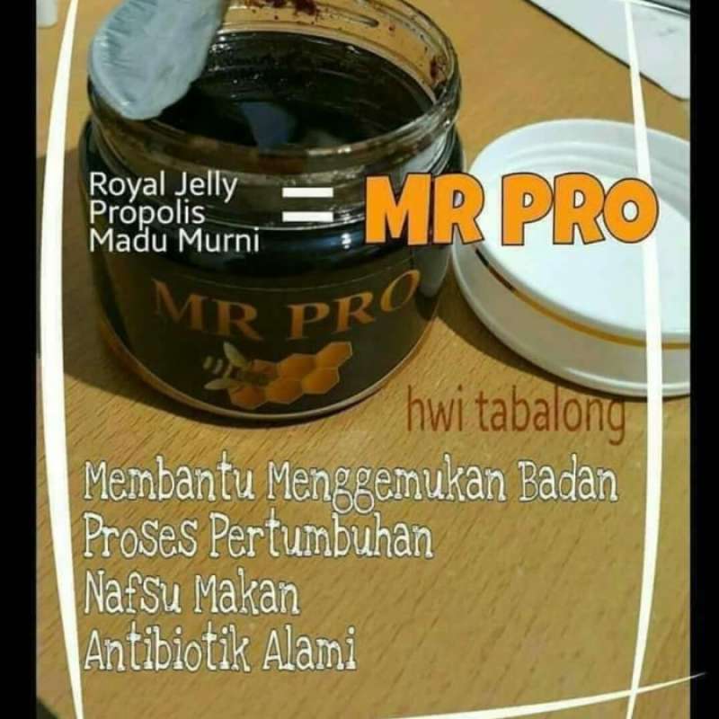 Jual Mr. Pro Multivitamin Penggemuk Badan Dan Antibody Alami Di Seller ...