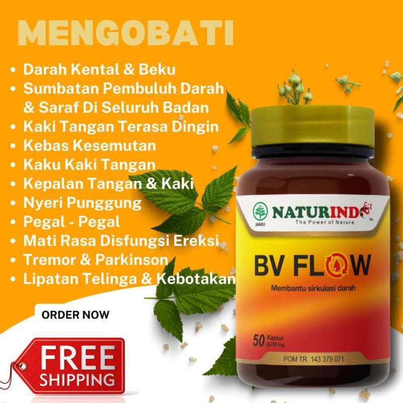 Jual Obat Herbal Bv Flow Kesemutan Kebas Pada Tangan Dan Kaki Naturindo ...