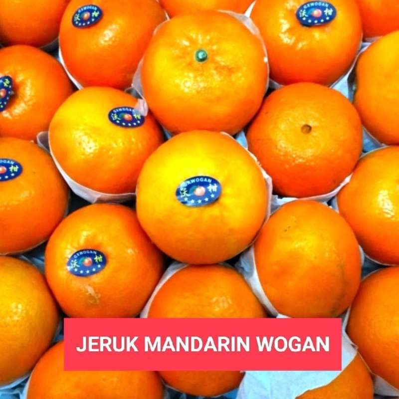 Jual Buah Jeruk Impor Sunkist Lemon Santang Ponkan Wogan Murcot ...