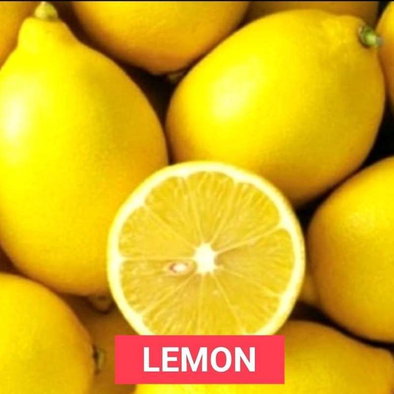 Jual Buah Jeruk Impor Sunkist Lemon Santang Ponkan Wogan Murcot ...