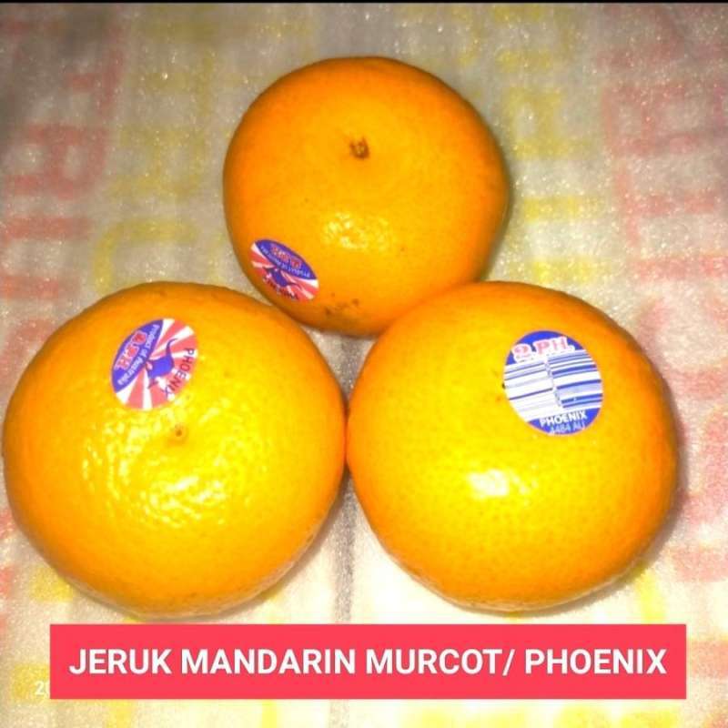 Jual Buah Jeruk Impor Sunkist Lemon Santang Ponkan Wogan Murcot ...