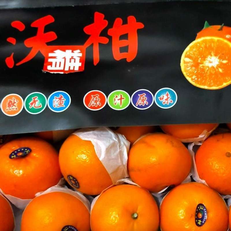 Jual Jeruk Mandarin Wokam Per 1 Kg Buah Segar Jeruk Wokam - 500 Gram Di ...