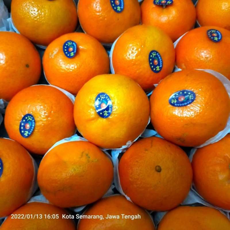 Jual Jeruk Mandarin Wokam Per 1 Kg Buah Segar Jeruk Wokam - 500 Gram Di ...
