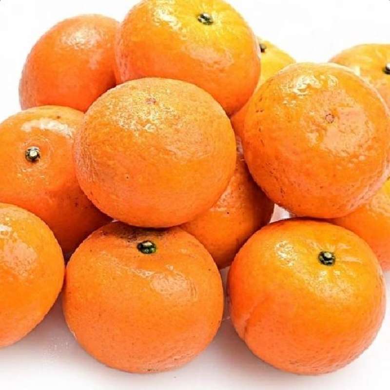 Jual Jeruk Mandarin Wokam Per 1 Kg Buah Segar Jeruk Wokam - 500 Gram Di ...