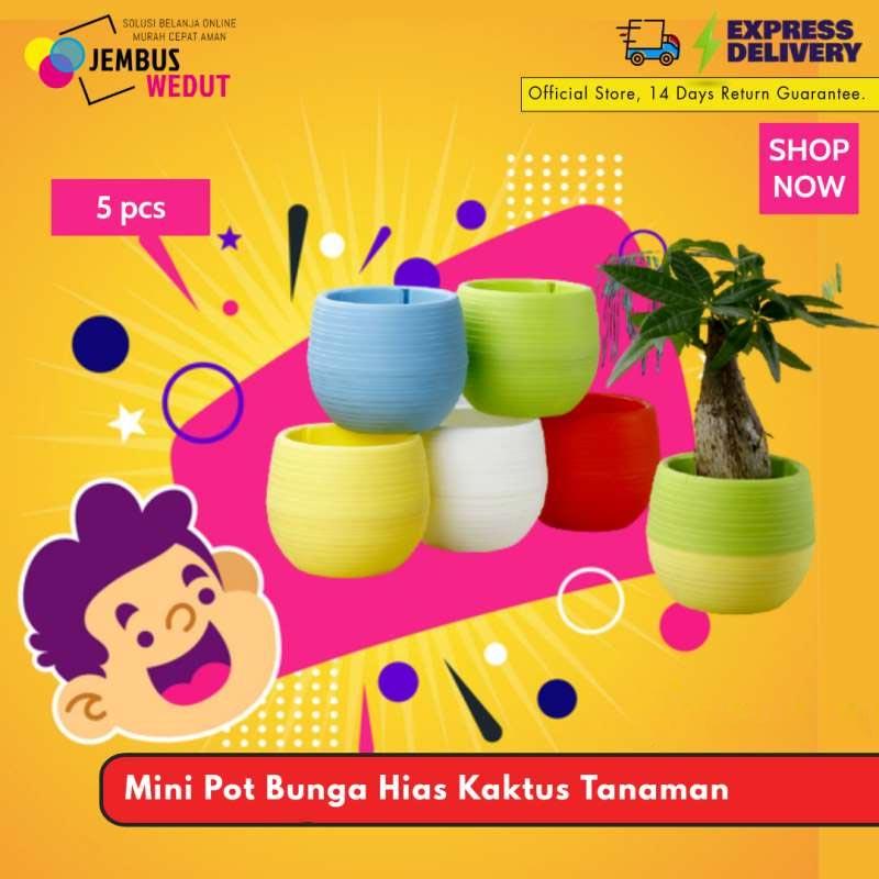 Jual Mini Pot Bunga Hias Kaktus Tanaman - 5pcs Di Seller Tiga Tiga ...