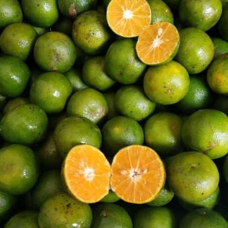 Jual [ PER 1/2 KG ] JERUK SIAM PERAS JERUK PERAS/JERUK WEDANG MANIS ...