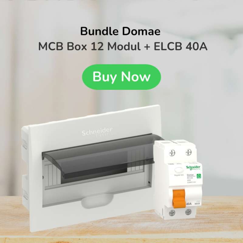 Jual Bundle Schneider Mcb Box Domae 12 Mod + Elcb 2p 40a Di Seller ...