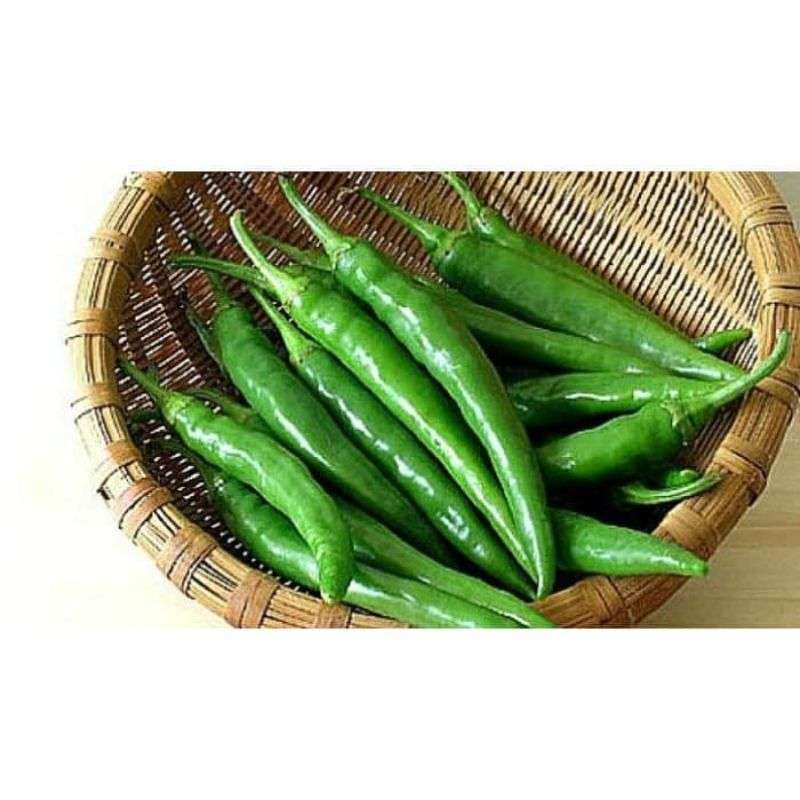 Jual Pre Order -organic Green Big Chili Pepper - Cabe Hijau Besar ...