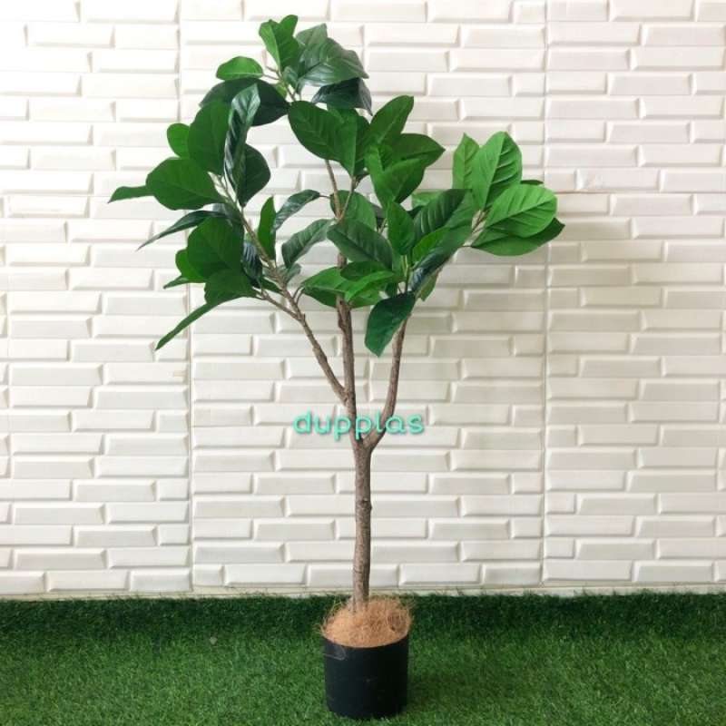 Promo Pohon Daun Magnolia Latex T120 Besar Artificial Pot Dasar Sebut ...