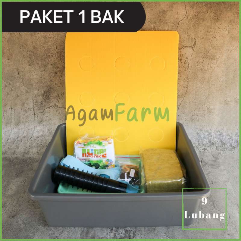 Jual Hidroponik Bak Wick Original Murah - Harga Diskon Mei 2024 ...