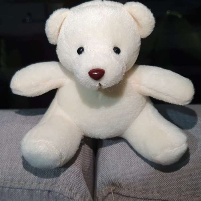 Boneka Teddy Bear Putih