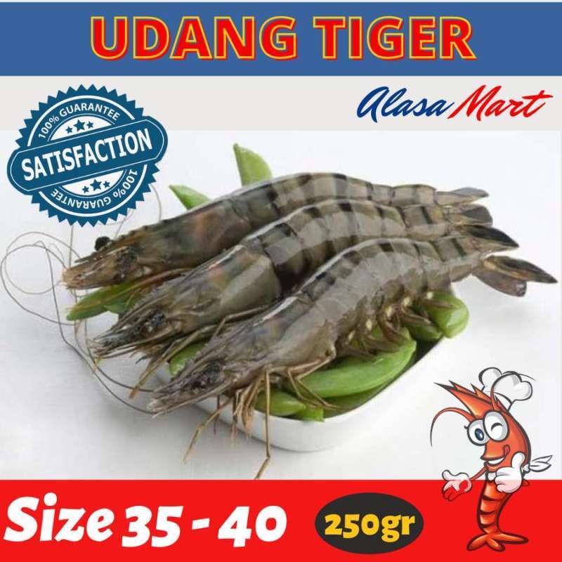 Jual Udang Tiger Segar / Udang Pancet / Udang Windu Fresh Size 35-40 ...