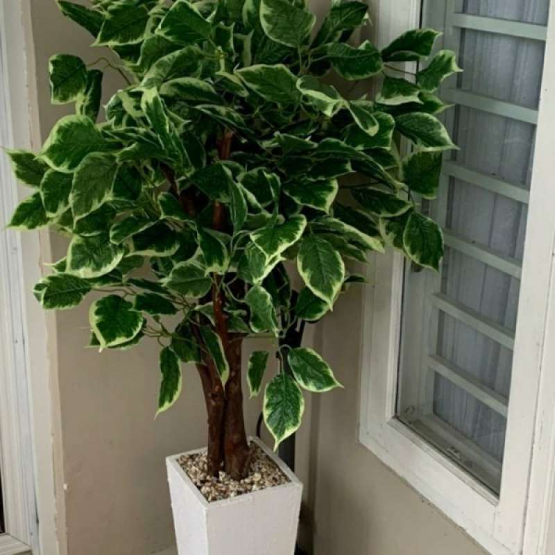 Promo Pohon Hias Artificial Sinfu Tanaman Pot Plastik Besar Dekorasi ...