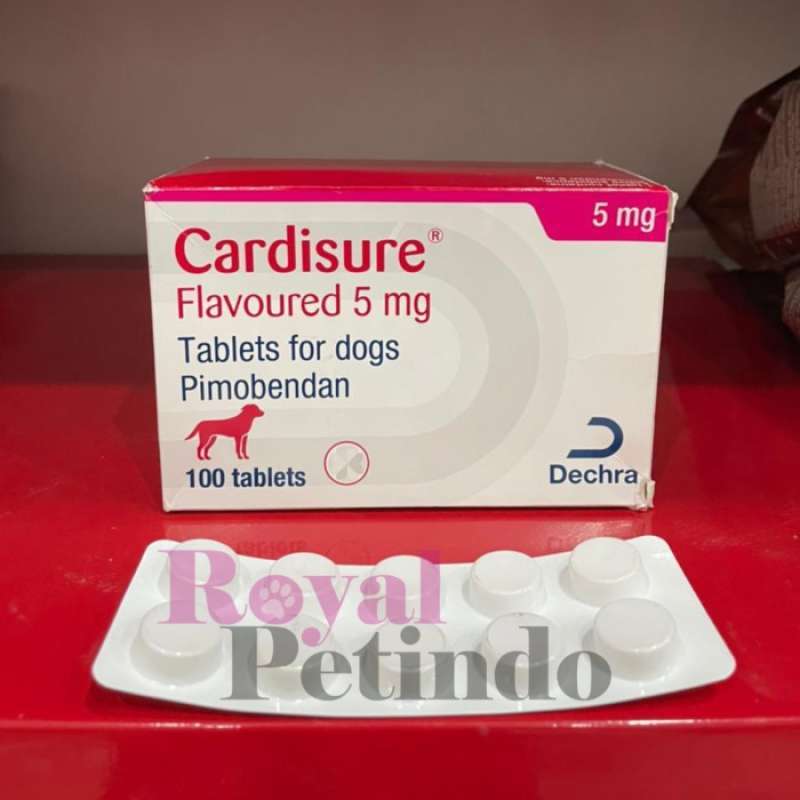 Promo Cardisure Pimobendan 5 Mg Obat Jantung Anjing Per Strip ( 10 ...