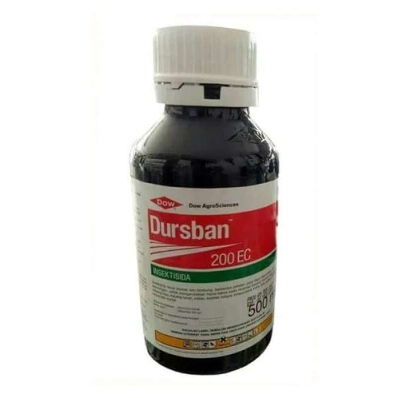 Jual Dursban 200 EC 500 mL Insektisida Pembasmi Serangga Tanaman di ...