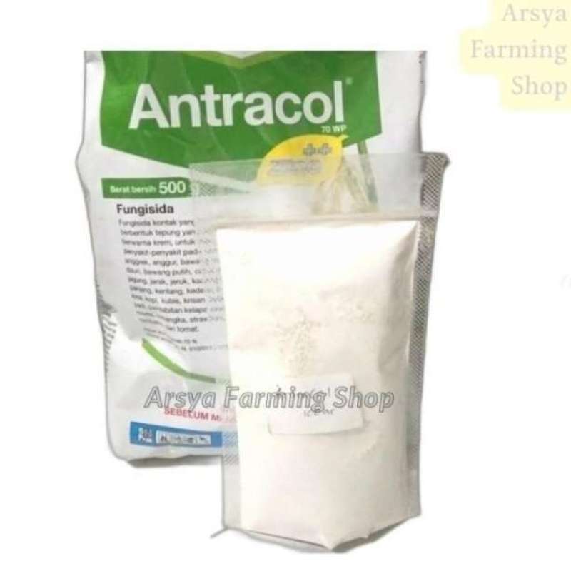 Jual Fungisida Kontak Antracol 70 Wp 100 Gram Repack Pengendali Jamur ...