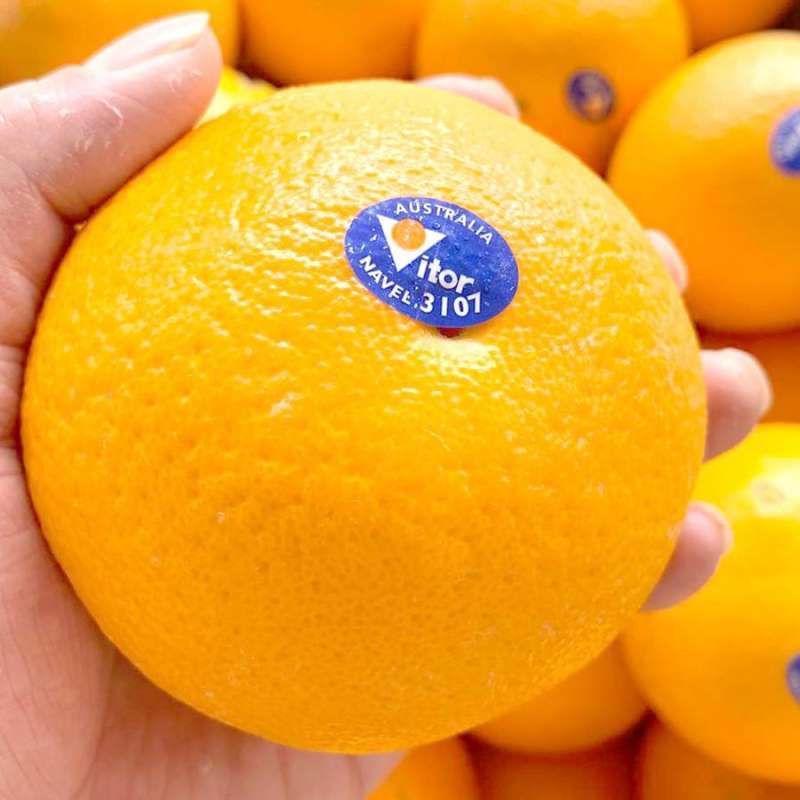 Jual Sunkist Navel /jeruk Sunkist Navel Premium/sunkist Navel Import ...