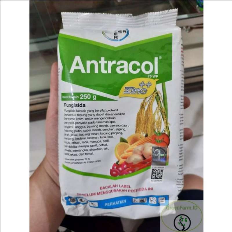 Jual Fungisida Antracol Kemasan 250gram Di Seller Greenfarm.id - Glugur ...