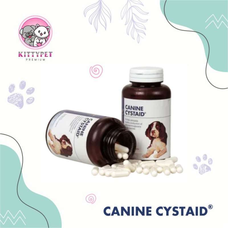 Promo [no Brand] Vetplus Canine Cystaid 10 Capsule Diskon 50% Di Seller ...