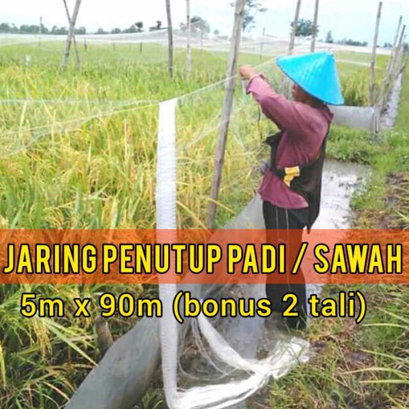 Promo Oem Jaring Padi / Jaring Emprit / Jaring Pipit / Jaring Burung ...