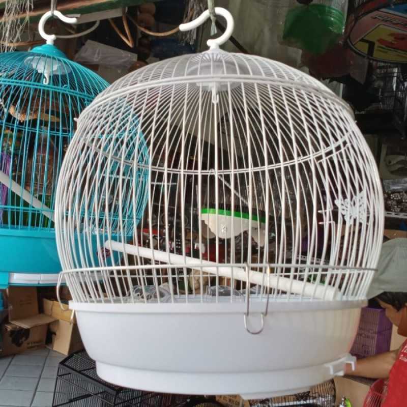 Promo Kandang Besi kenari gentong Murah Diskon 23% di Seller Kamupet ...