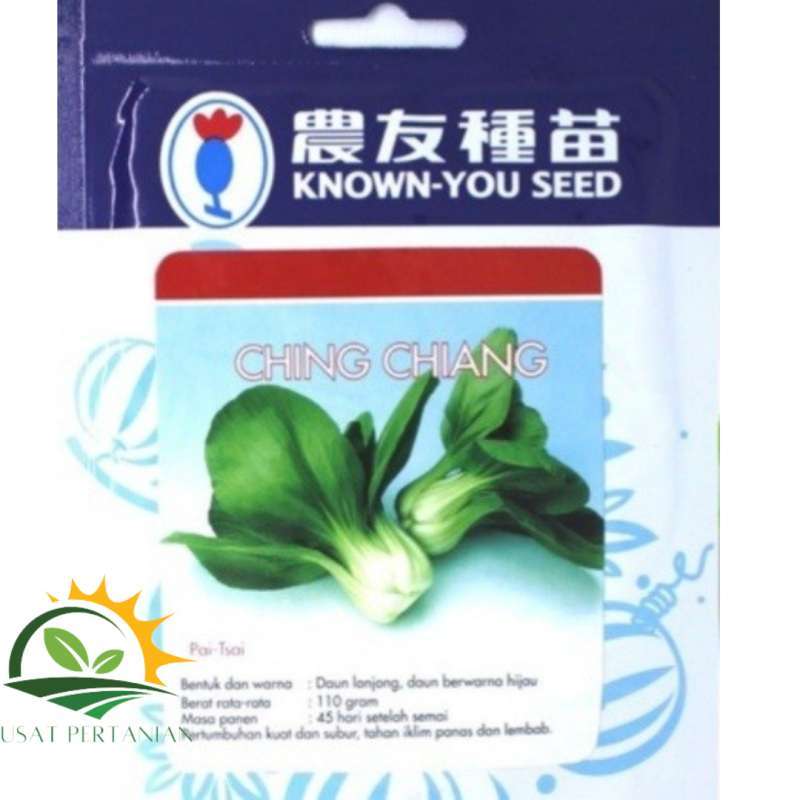 Jual PAKCHOY CHING CHIANG 10 GRAM PACK BESAR benih biji sawi pakcoy ...