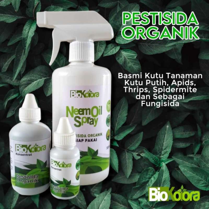 Promo Pestisida Nabati Pembasmi Alami Hama Kutu Tanaman Organik ... Promo Pestisida Nabati Pembasmi Alami Hama Kutu Tanaman Organik ...