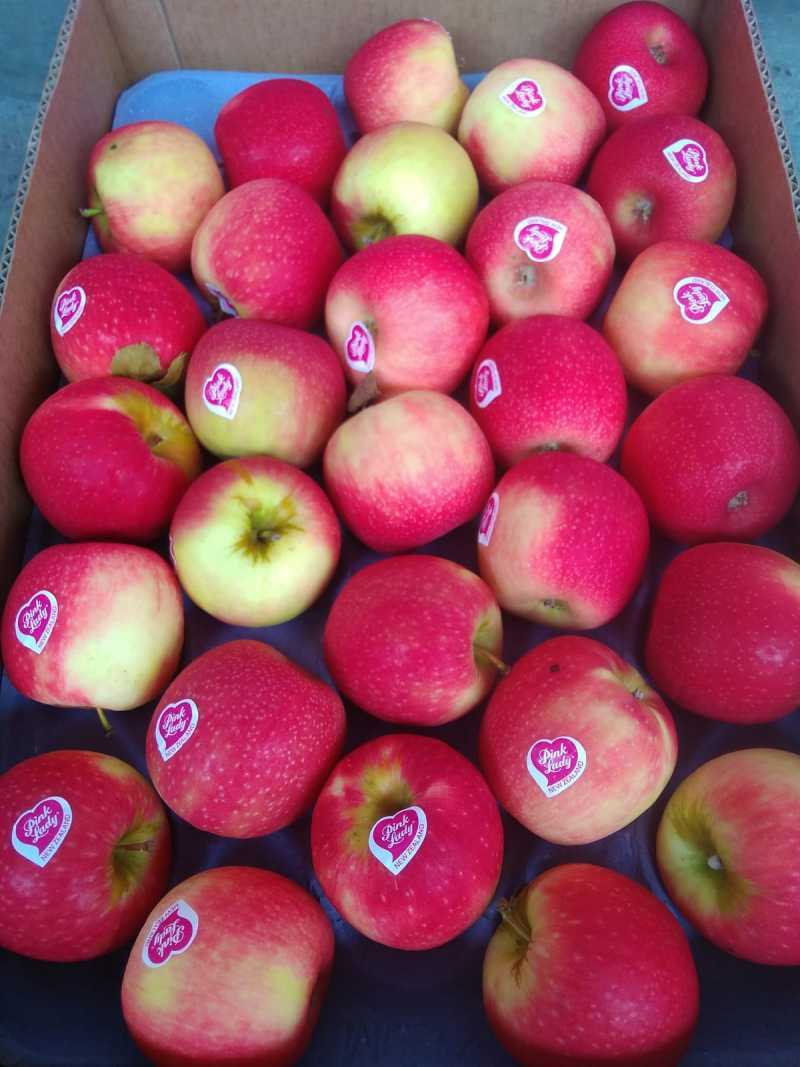 Pink Lady Apples New Zealand at Adeline Ouellette blog