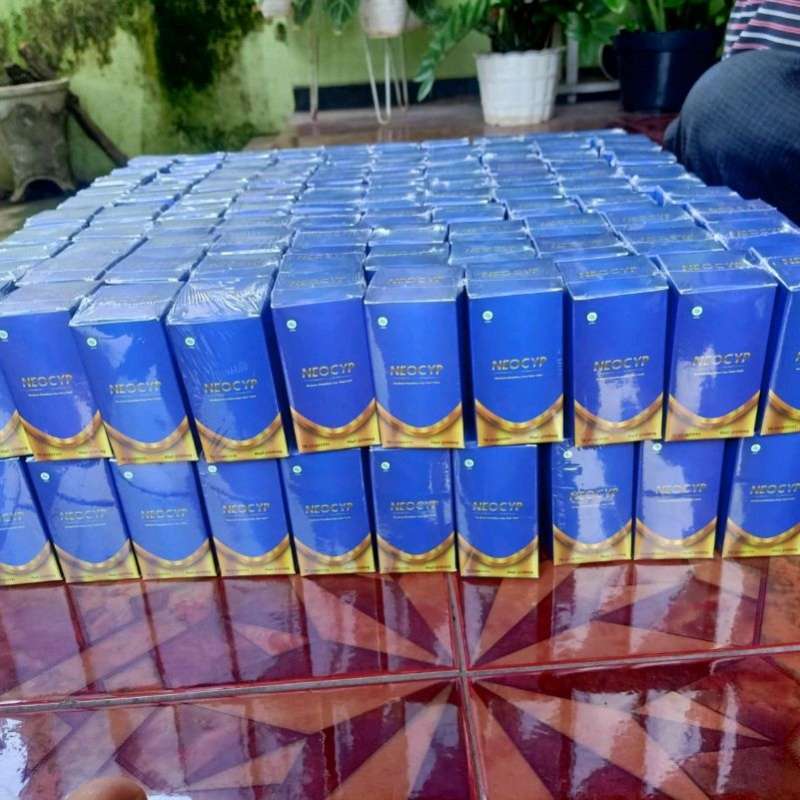 Jual Pil Hitam Herbal NEOCYP Original 100% Import BPOM Halal Obati ...