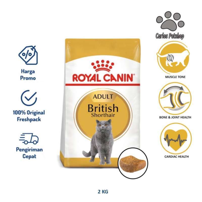 Promo Royal Canin British Shorthair Adult 2kg Diskon 29% di Seller ...
