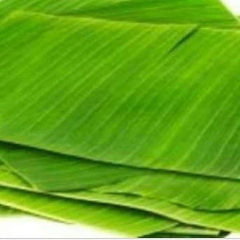Jual Daun Pisang Batu Segar Asli Segar Berat 1 Kg Di Seller Hidayat