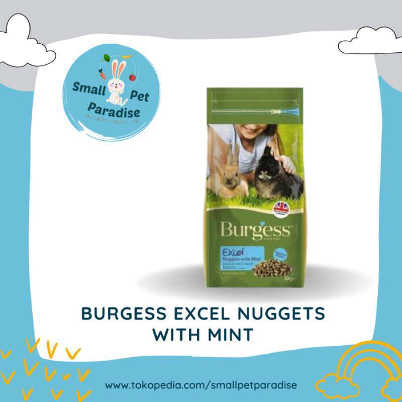 Promo Burgess Excel Nuggets With Mint (JUNIOR & DWARF) Diskon 24% di ...