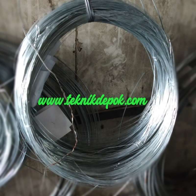 Promo Kawat Bwg Putih No 12 Tali Ikat Tanaman Galvanis 2.5 Mm 1 Kg Depok Diskon 23% di Seller ...