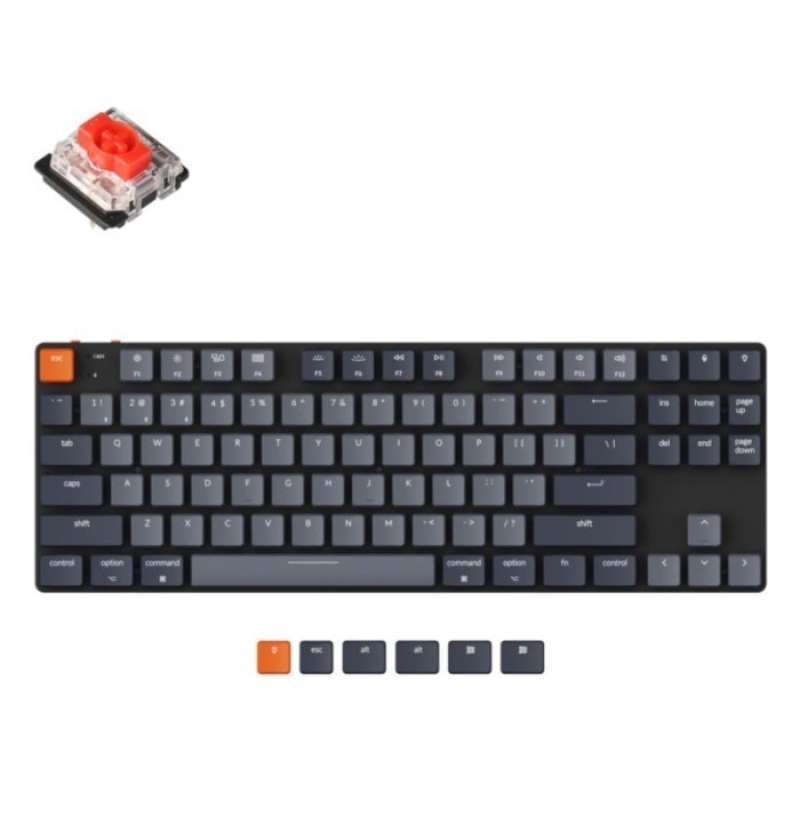 Jual Keychron K1 SE TKL White LED Hotswap Wireless Gaming Keyboard ...