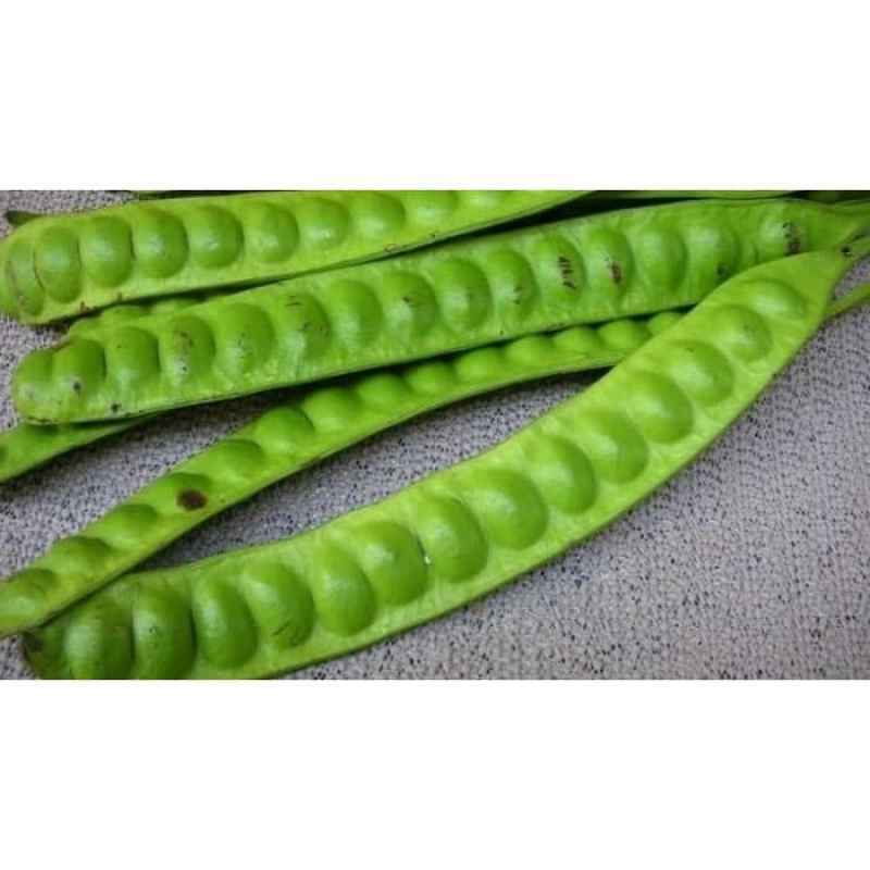 Promo Pete 1 Papan Peutey Petai Satu Papan Halal Diskon 26% di Seller ...