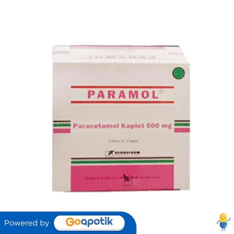 Jual PARAMOL 500 MG BOX 100 KAPLET di Seller Apotek Hafizah Medika ...